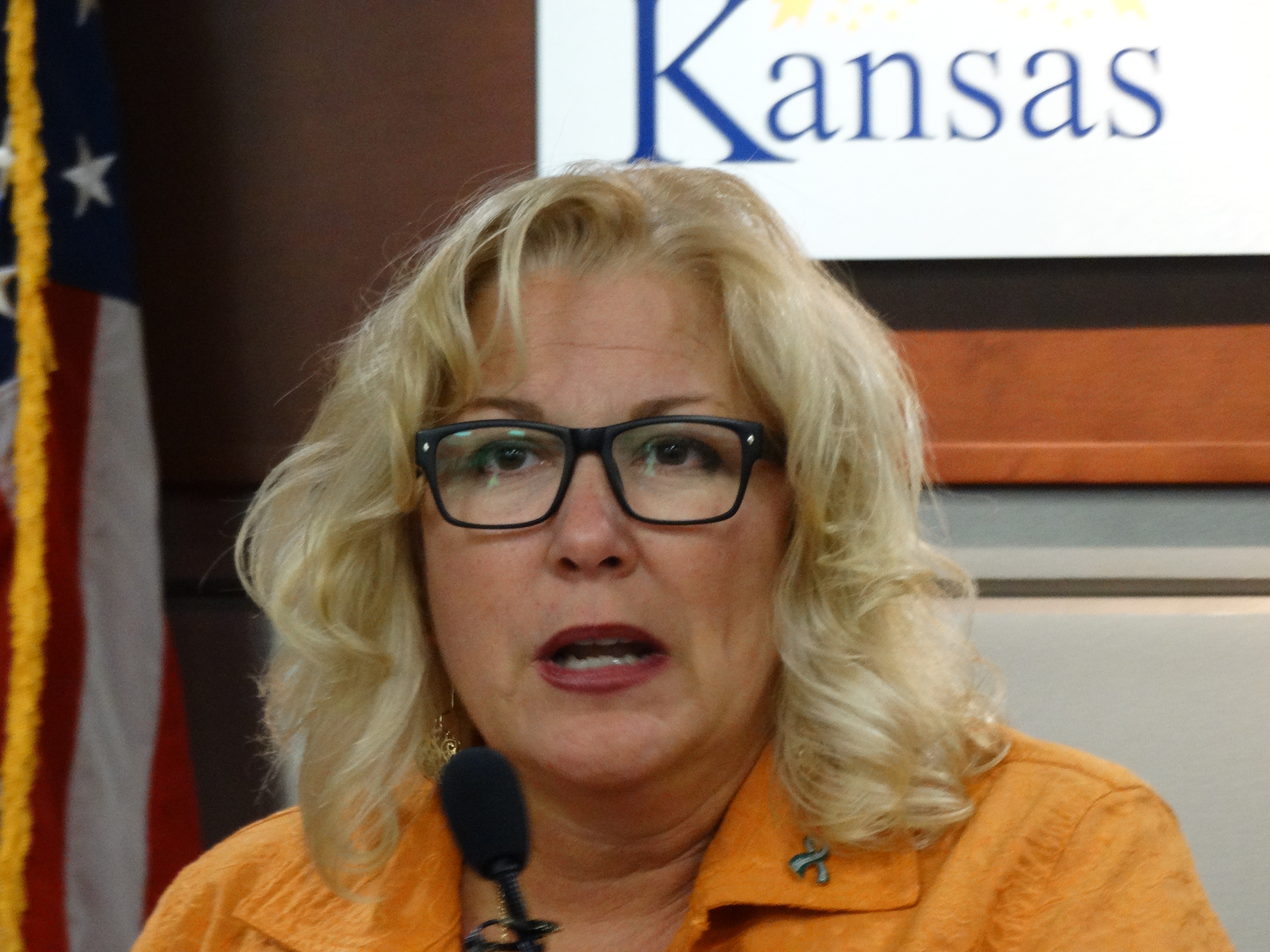 DCF to seek additional $24.3M over 3 years; plans to hire 200 ...
